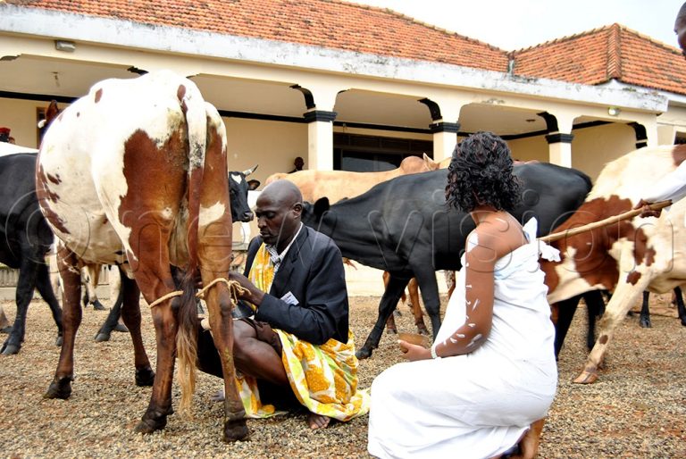 The Rich History of Tooro Kingdom: A Legacy of Royalty and Culture ...